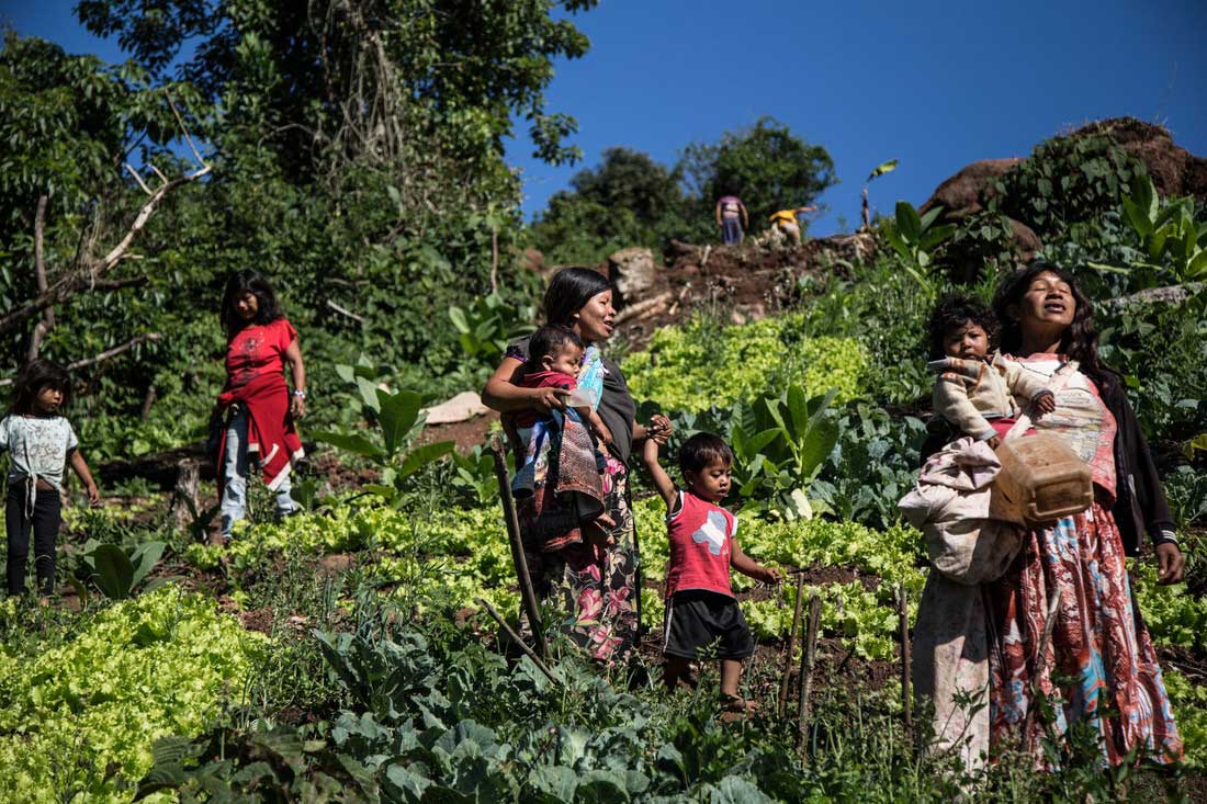Pueblos originarios, cultura Mbya-Guaraní: Turismo, Cultura y ...