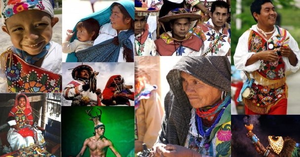 ¿Qué es y cuáles son los proyectos de México Renace Sostenible ...