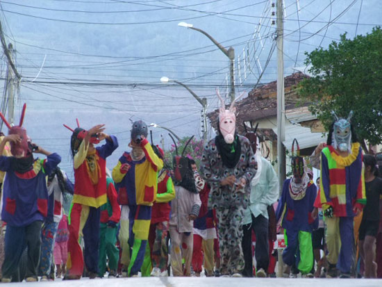 Bajo la máscara del Carnaval de Lamas 2019﻿ - Entorno Turístico