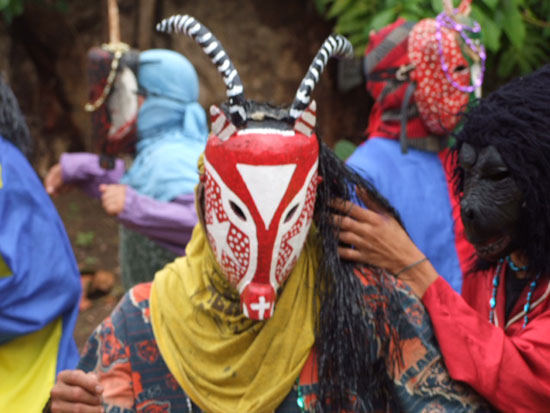 Bajo la máscara del Carnaval de Lamas 2019﻿ - Entorno Turístico
